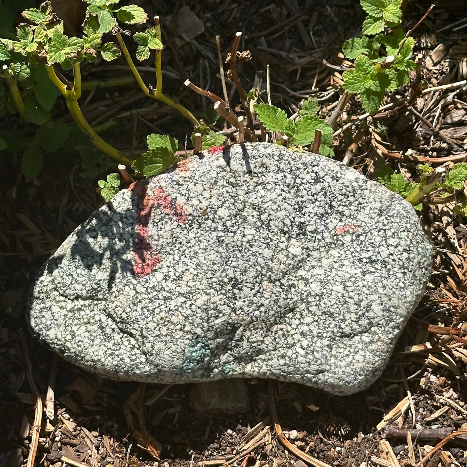 Hummingbird Rock, Hummingbird Decor, Rainbow Watercolor Decor ...