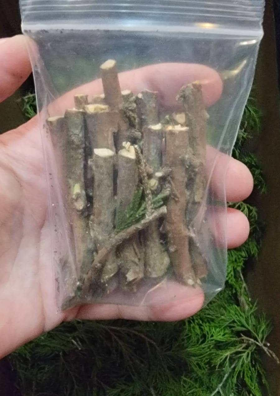 Juniper Wood Eastern Red Cedar Cedar Sticks Real Wood Craft - Etsy