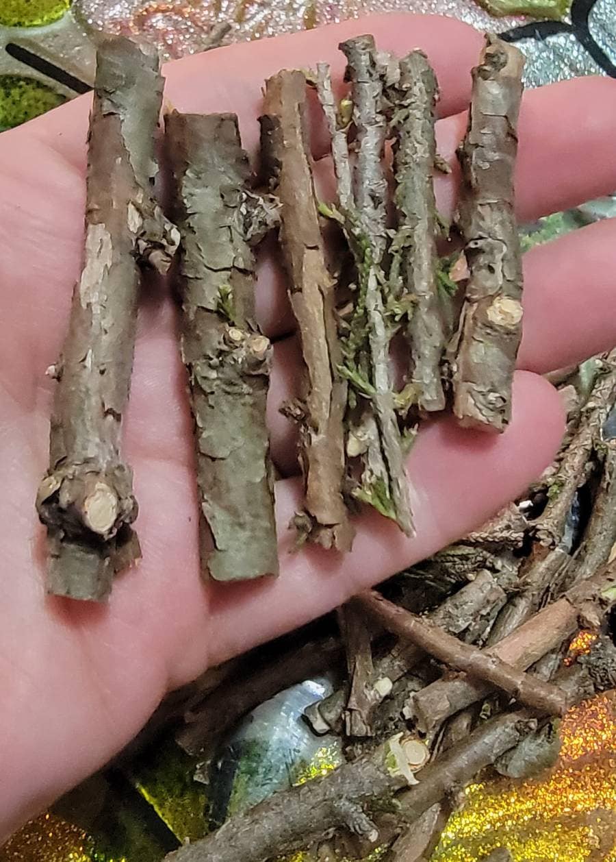 Juniper Wood Eastern Red Cedar Cedar Sticks Real Wood Craft - Etsy