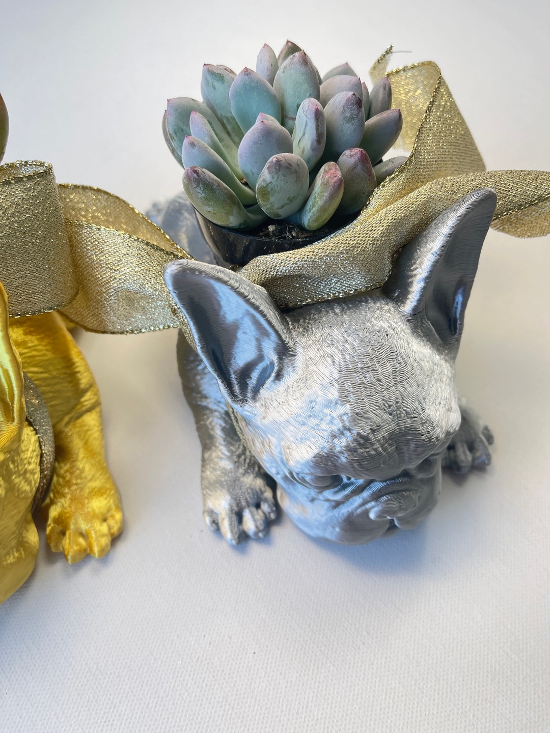 French Bulldog Planter + Plant | Gift for Frenchie Lovers - Etsy