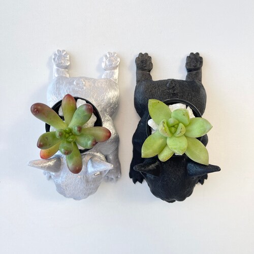 French Bulldog Frenchie Planter Plant Pot . - Etsy