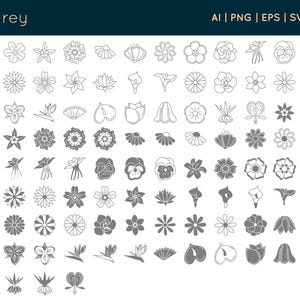 Flower Icons | Digital Download | for Design and Web | Ai Eps Png and ...