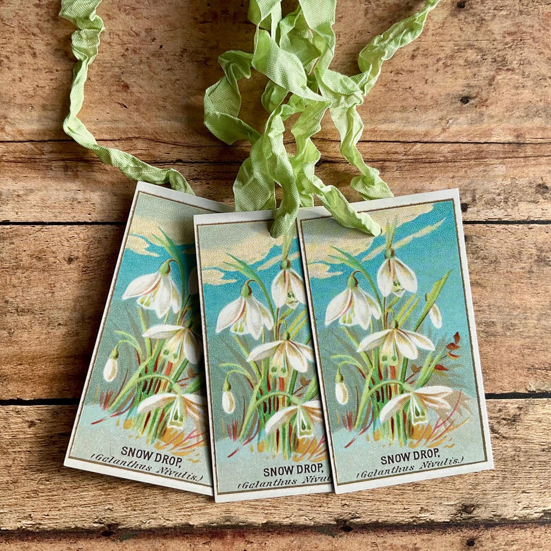 Gift Tags- Hang Tags - Set/3 SNOWDROP - Etsy