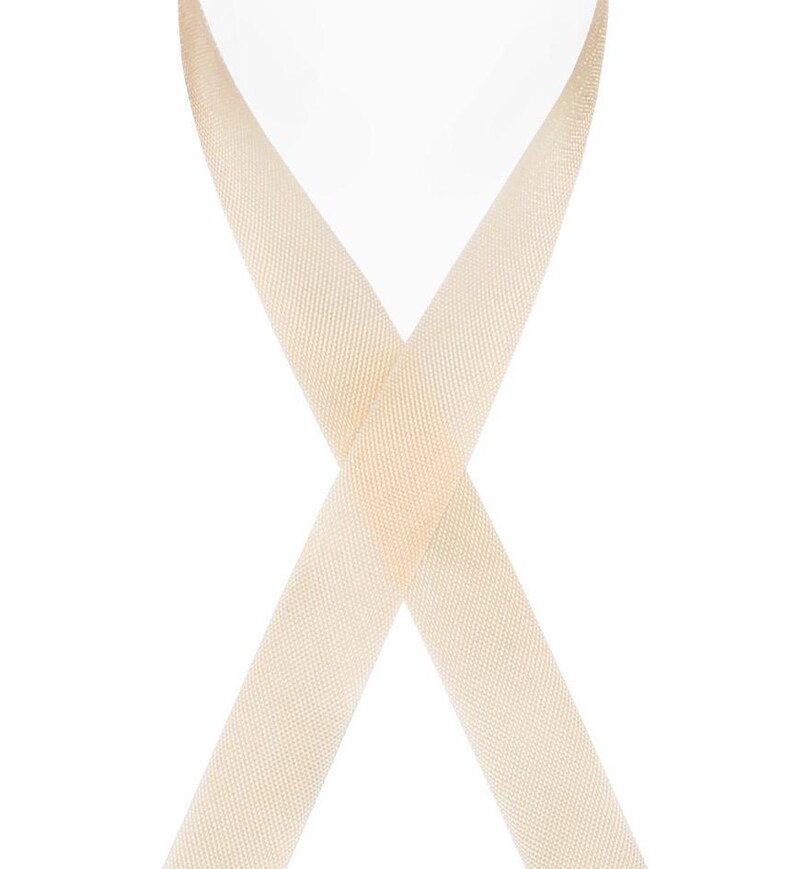 ASST NEUTRALS - Rayon Crinkle Ribbon Binding - Shades of NEUTRALS - 5 ...