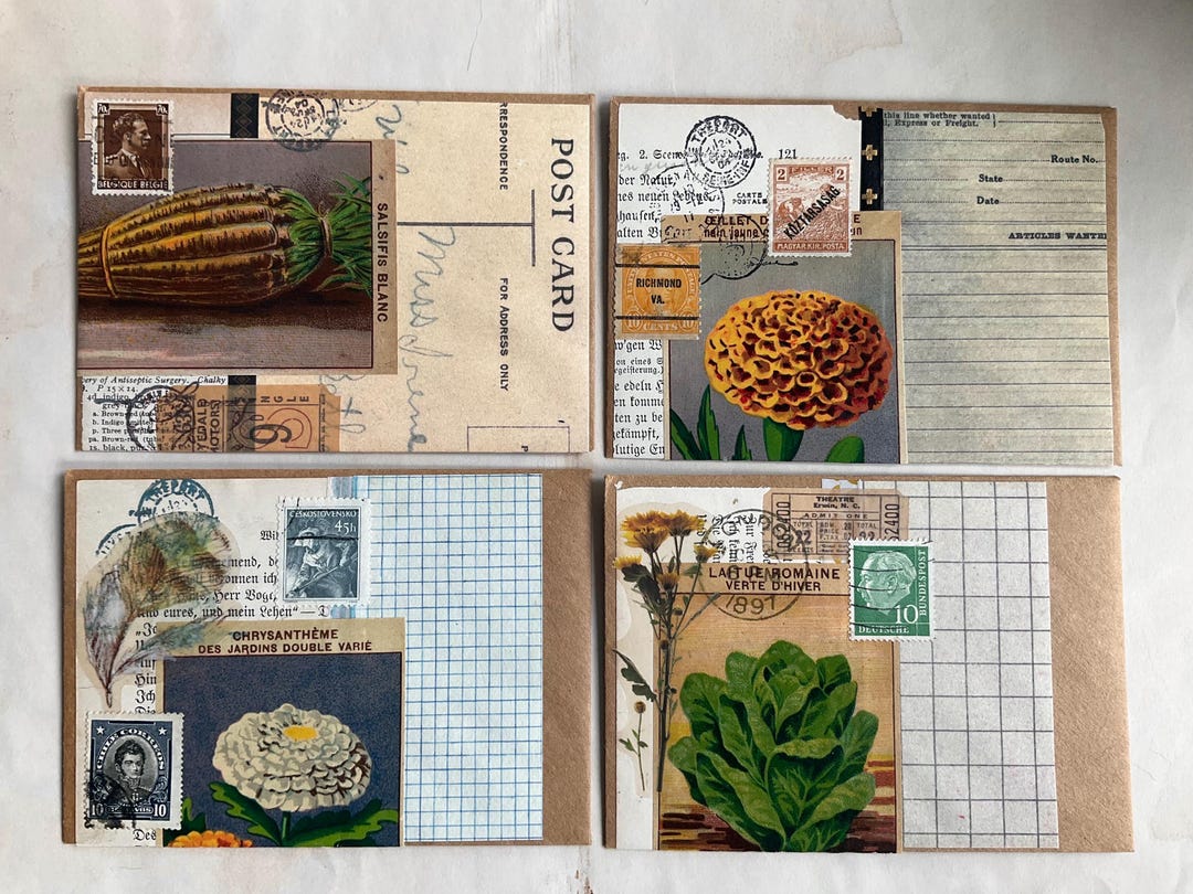 Vintage Ephemera Small Note Cards-carrot, Flower, Chrysanthem, Romaine ...