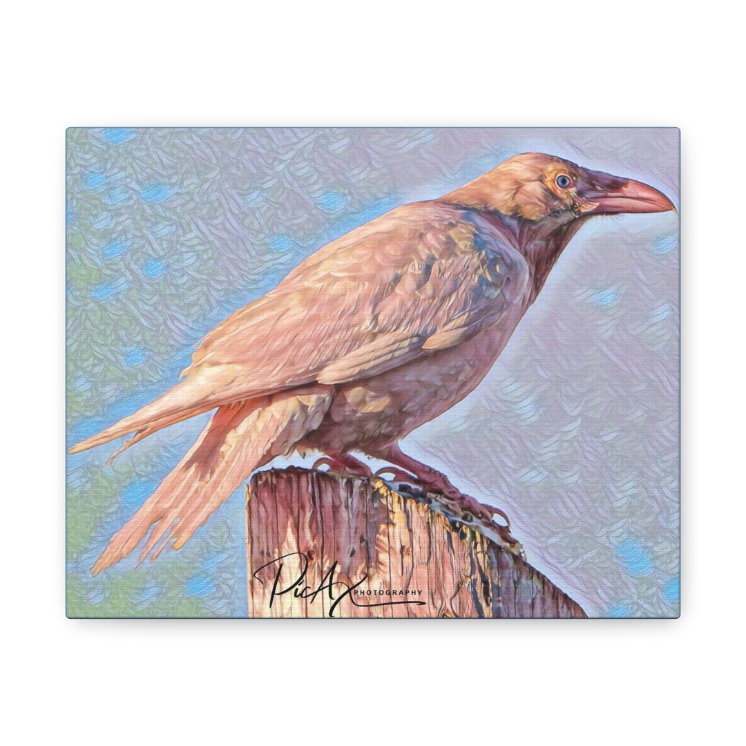 Creative White Raven - Etsy