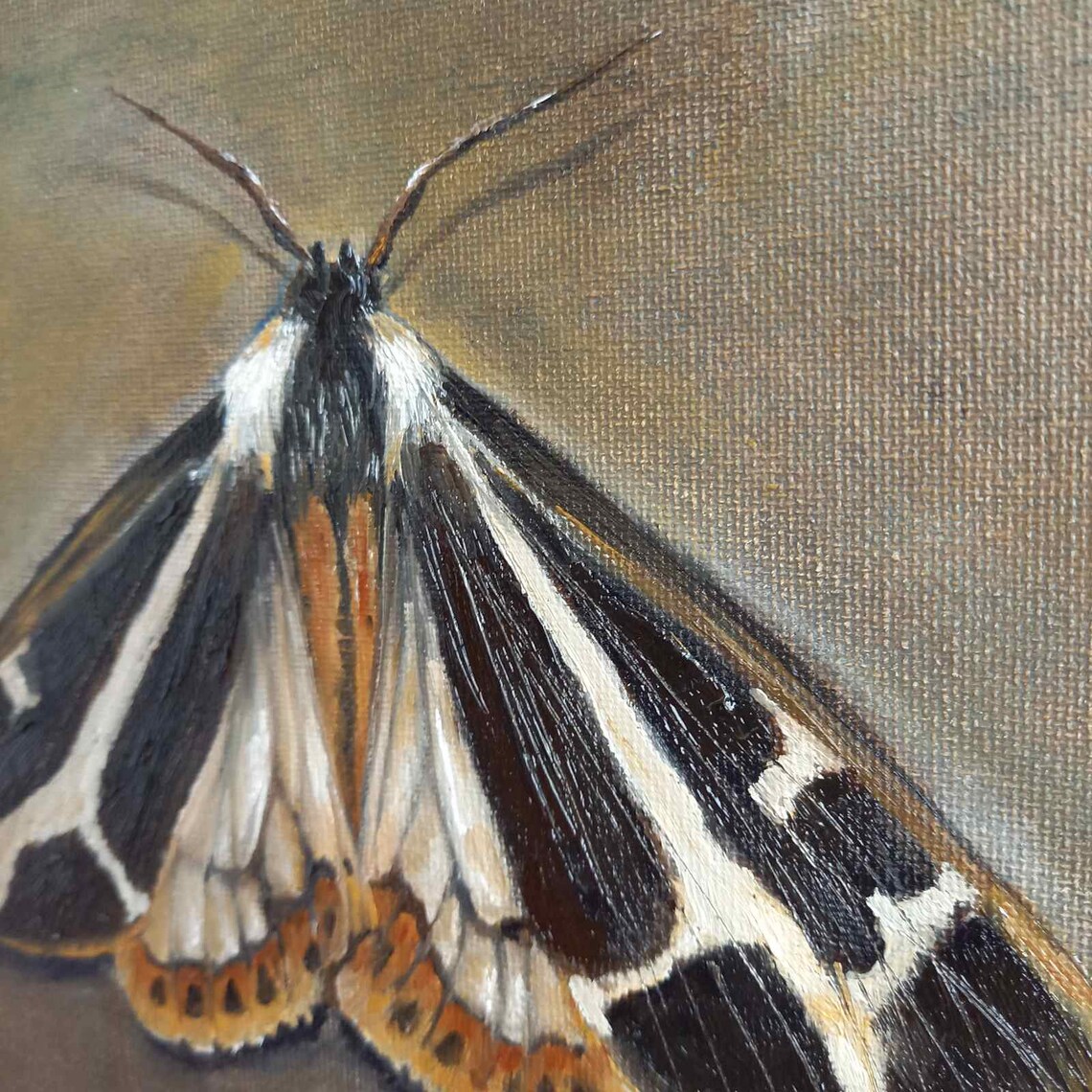 Dysschema a Realistic Moth Oil Painting Inspired by Old - Etsy