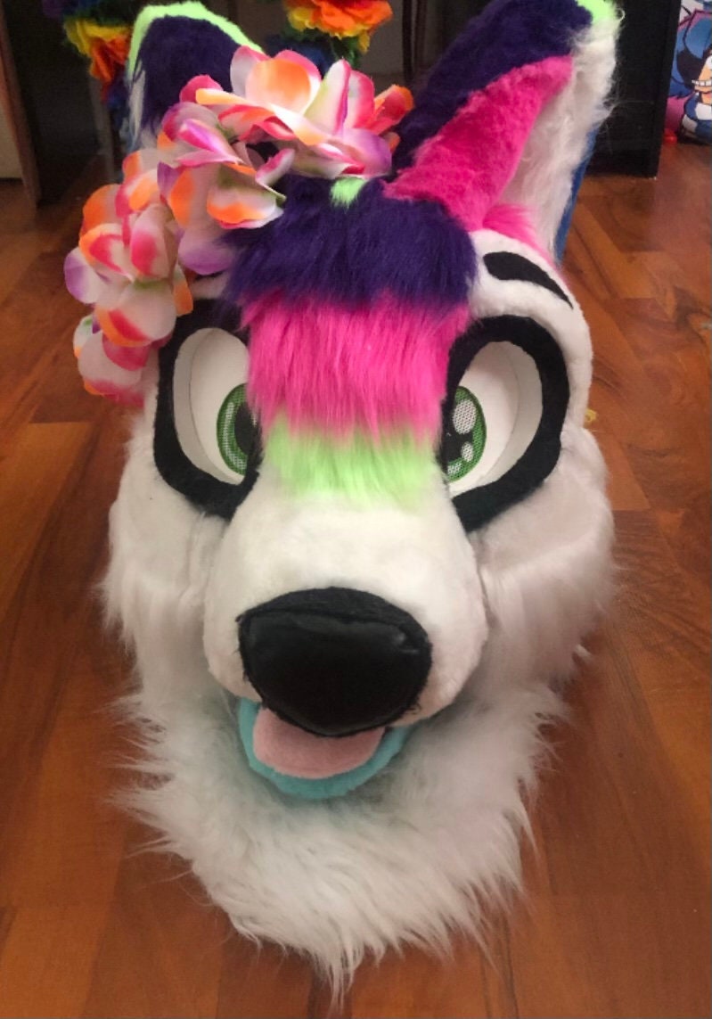 Rainbow Wolf Suit - Etsy