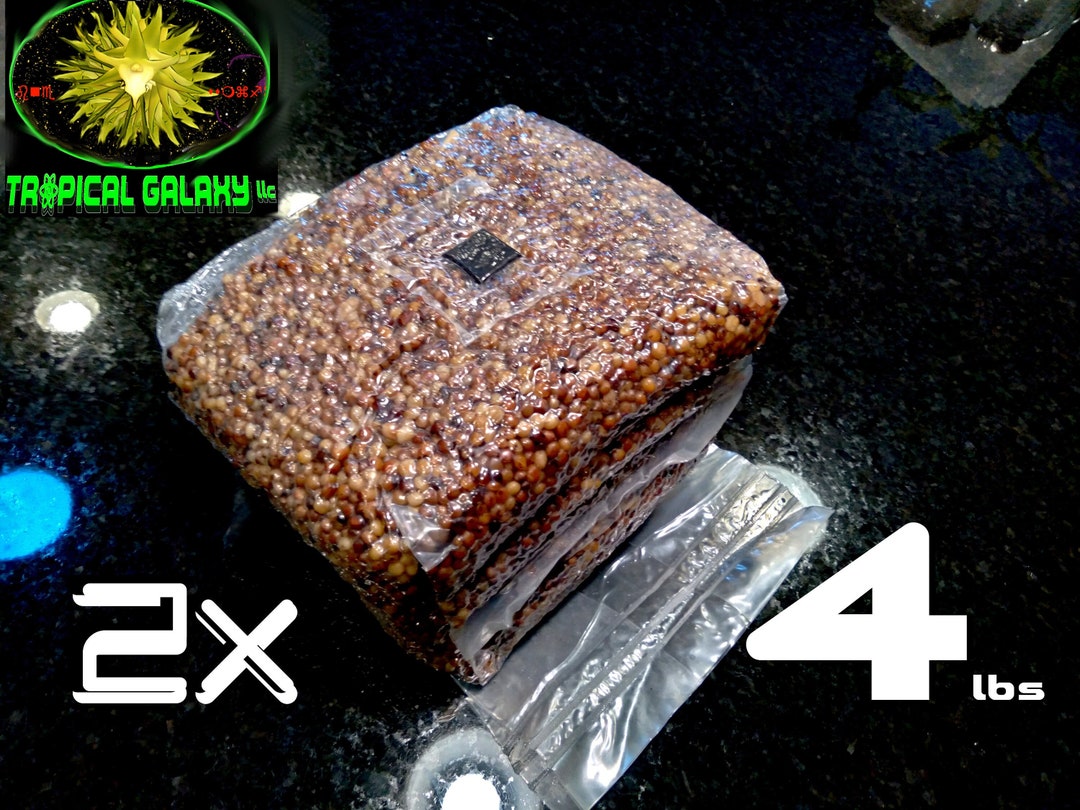 2x 4lb Sterilized Sorghum Grain Bags for Mushroom Spawn, 6lbs Total - Etsy