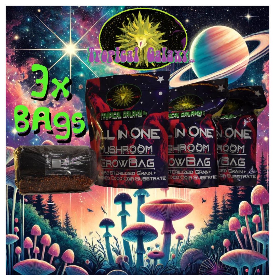 3x Bags All in One Mushroom Grow Bags, (everything but the Spores) - Etsy