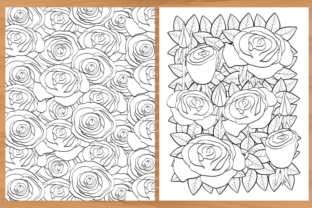 Roses 4 Printable Coloring Pages Adult Coloring Cards - Etsy