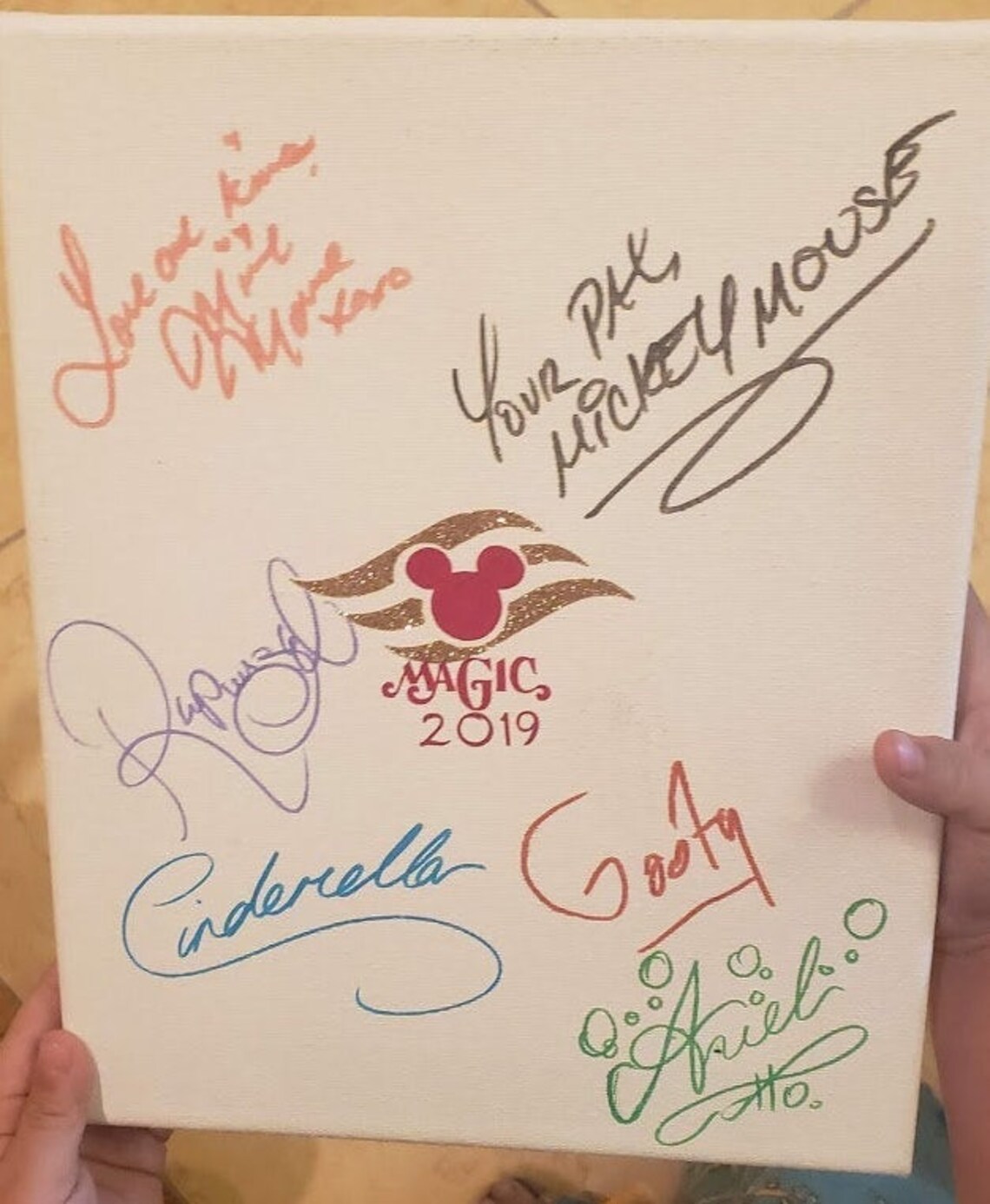Autograph Canvas, Disney Autograph, Disney Cruise, Autograph Book ...