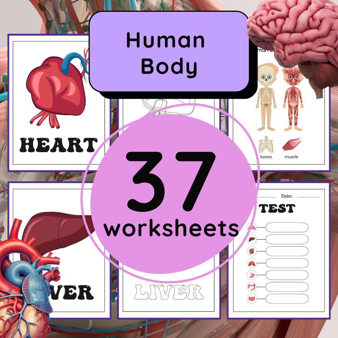 Human Body Systems Printable Worksheets – Educational Resource for Kids ...