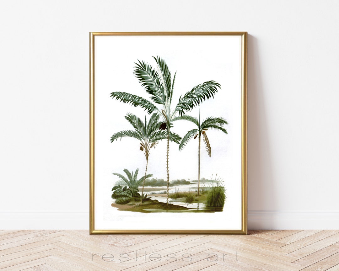 Vintage Palms | Palm Illustration, Vintage Art, Vintage Illustration ...