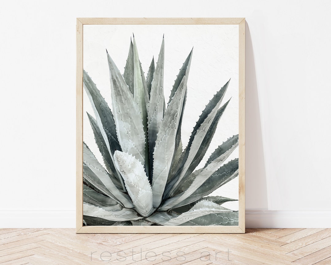 Printable Art | Digital Download | Photography 'agave Americana' Print ...