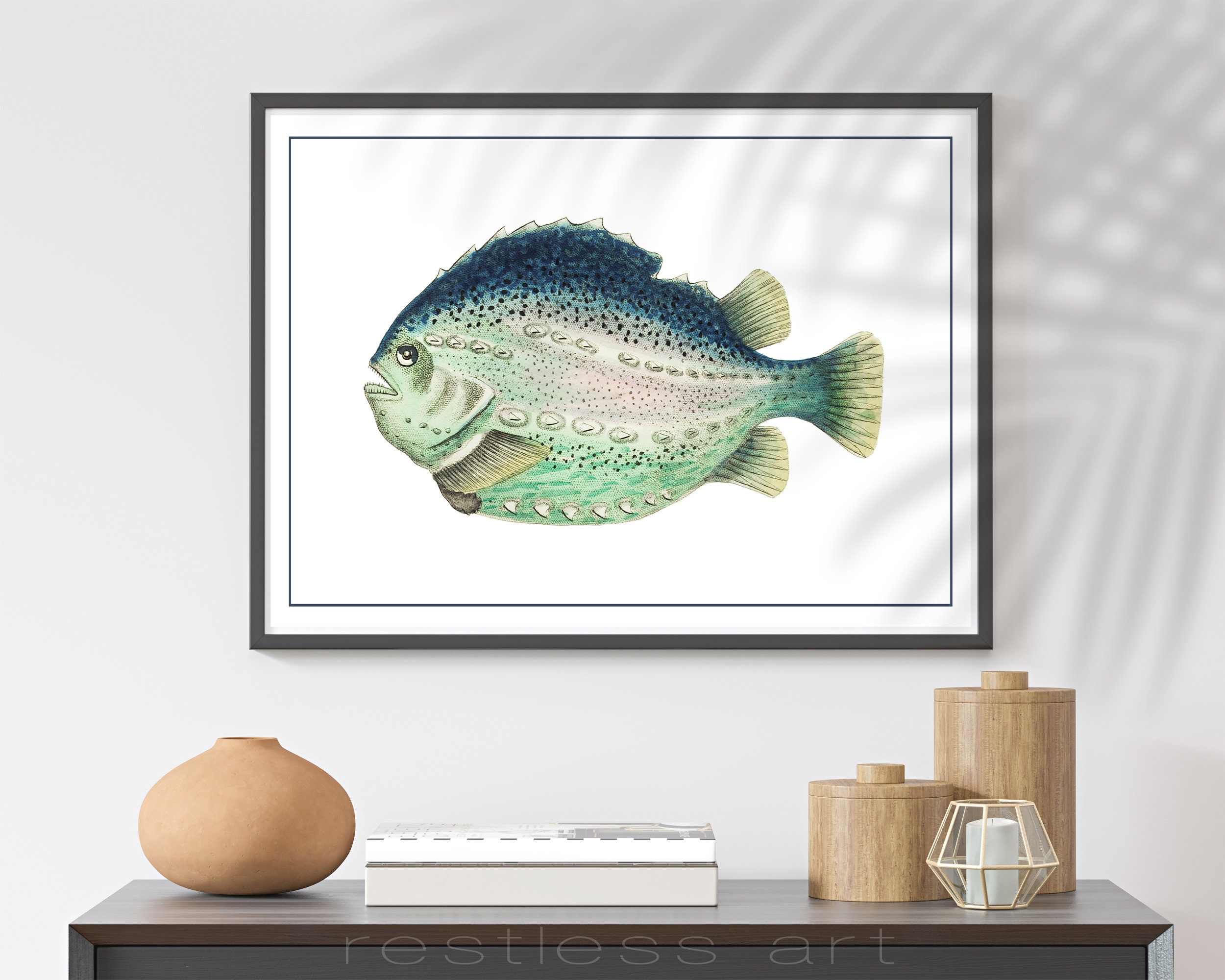 Puffer Fish Vintage Art | Natural History Illustration, Coastal Art ...