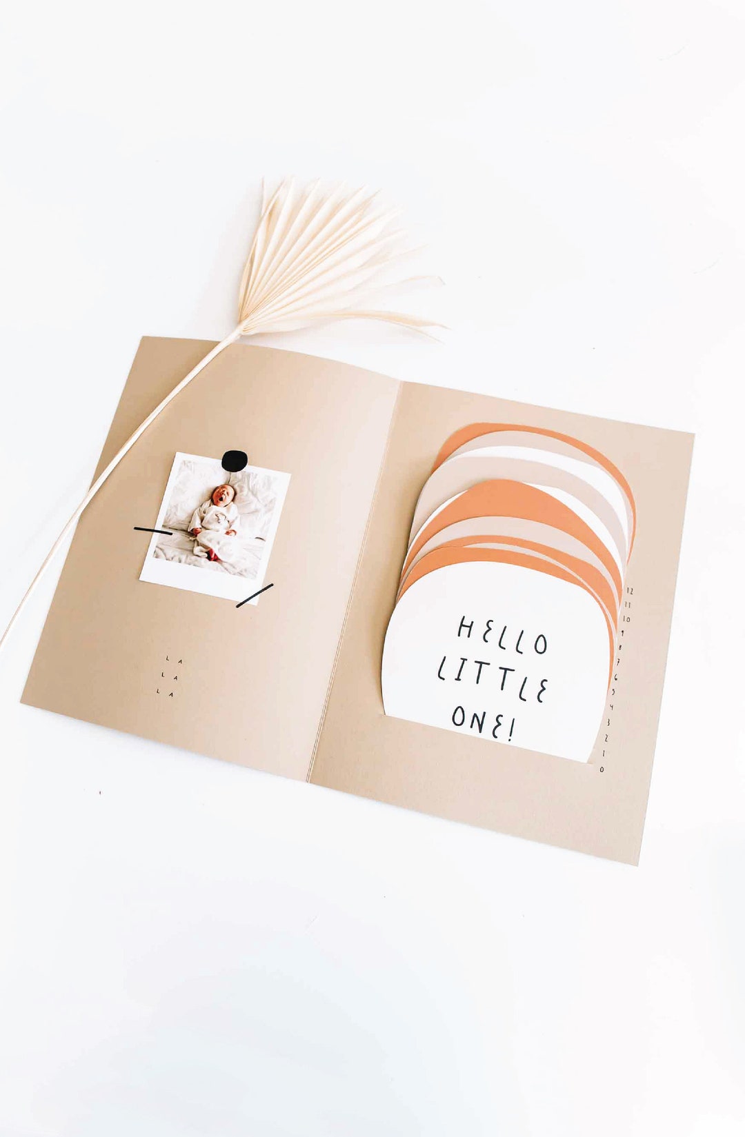 Month Milestone Cards, Baby Month Cards, Round Monthly Milestone for ...