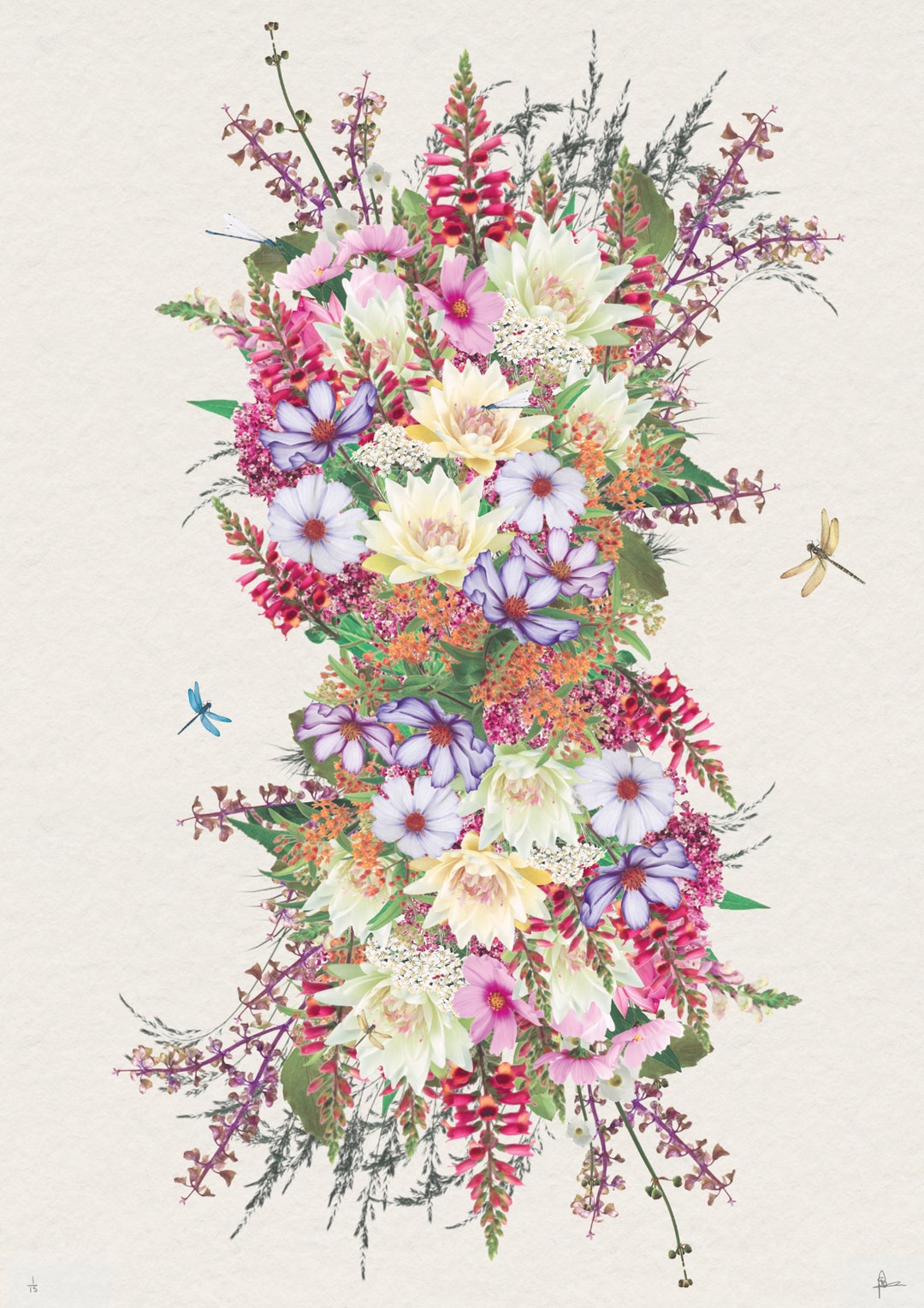 Dragonfly Limited Edition Print - Etsy