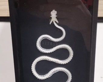 Snake - Etsy Nederland