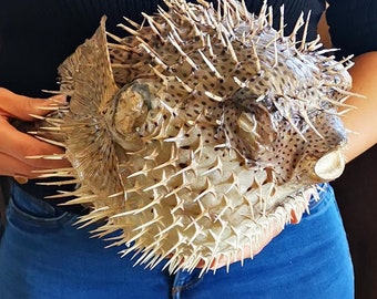 Stuffed Puffer Fish - Etsy