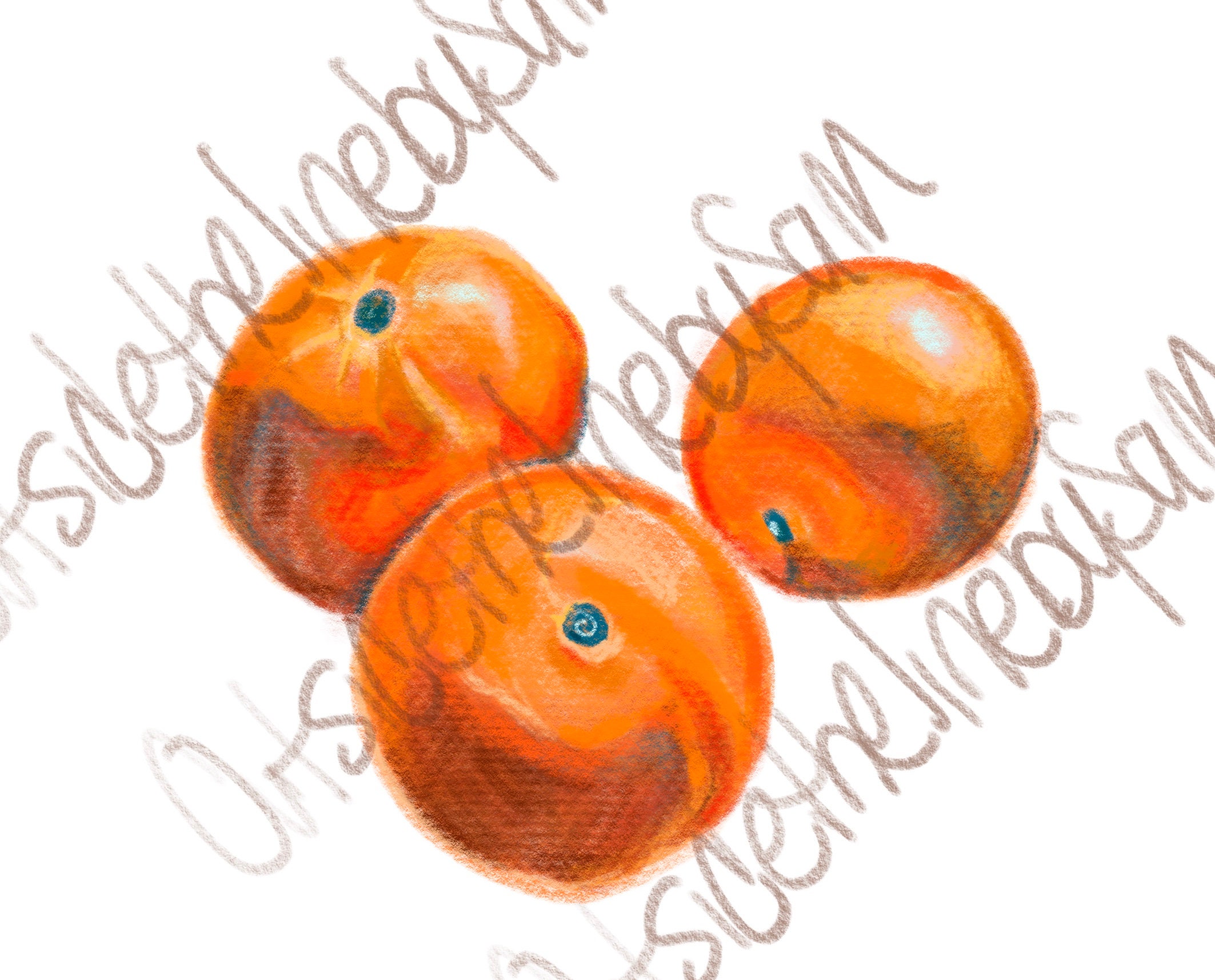 Hand Drawn Clip Art Fruit and Vegetable Colorful Illustration - Etsy