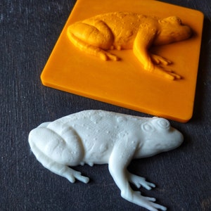 Frog 3d Tile Mold , Silicone Mould , Toad Applique , Concrete Mold ...