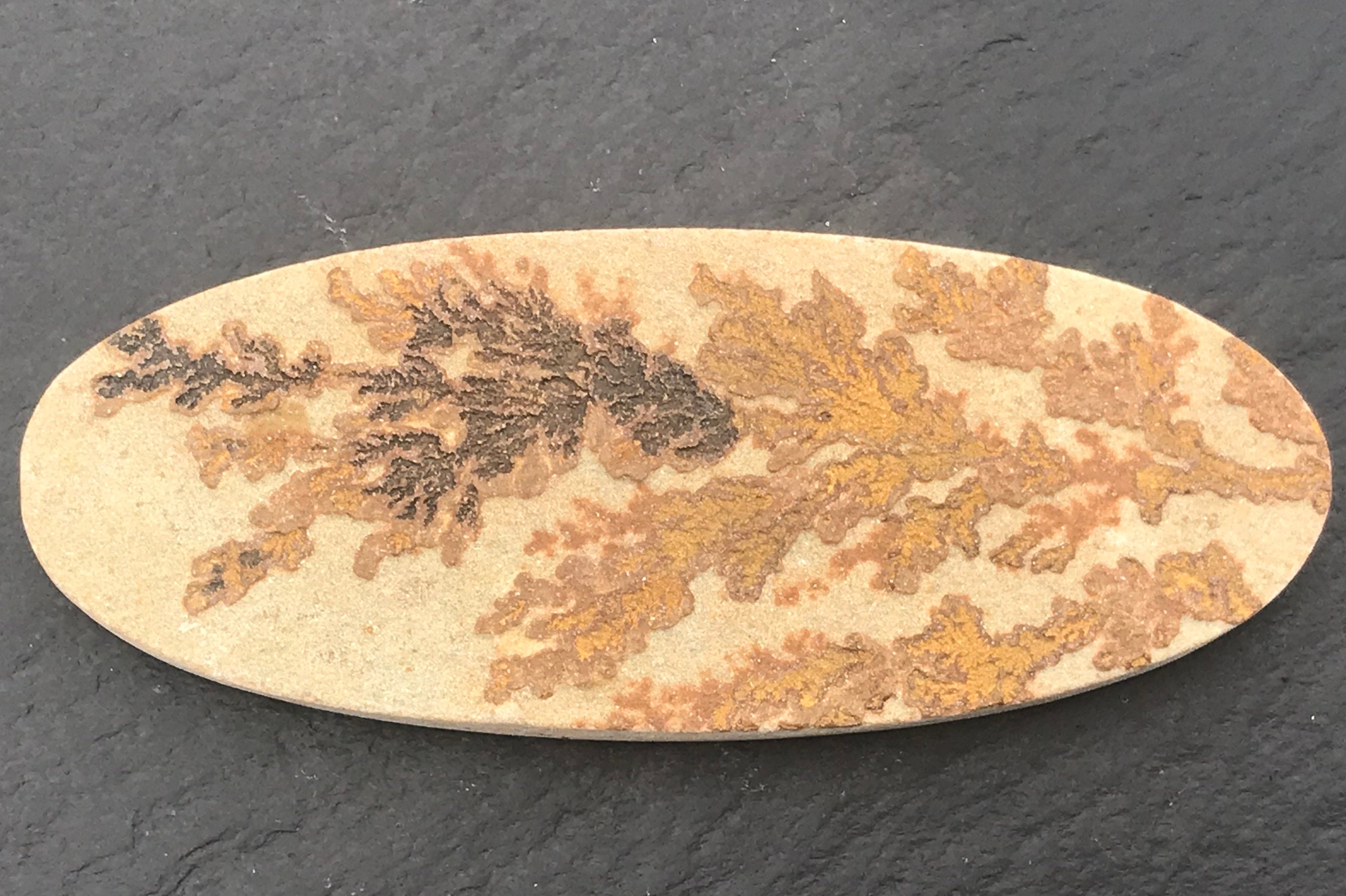 Large Dendritic Sandstone Cabochon, 32x82mm, 26g / 130cts in Weight - Etsy