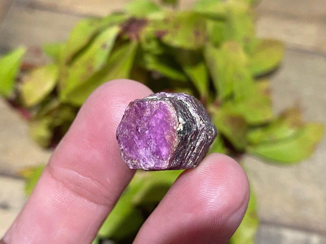 1 X Large Raw Ruby Gemstone, 15x19mm, 10g / 50cts in Weight Natural ...