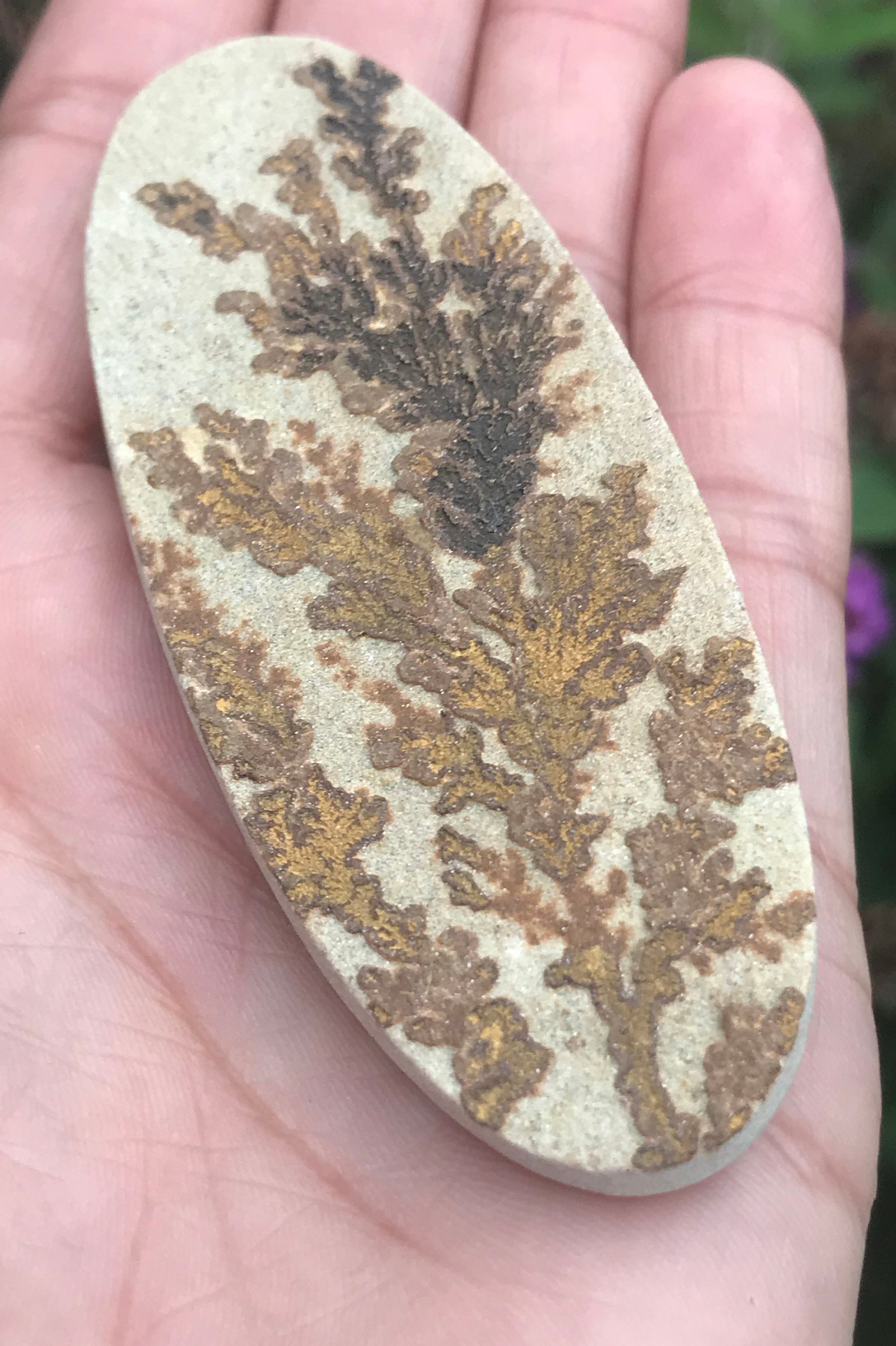 Large Dendritic Sandstone Cabochon, 32x82mm, 26g / 130cts in Weight - Etsy
