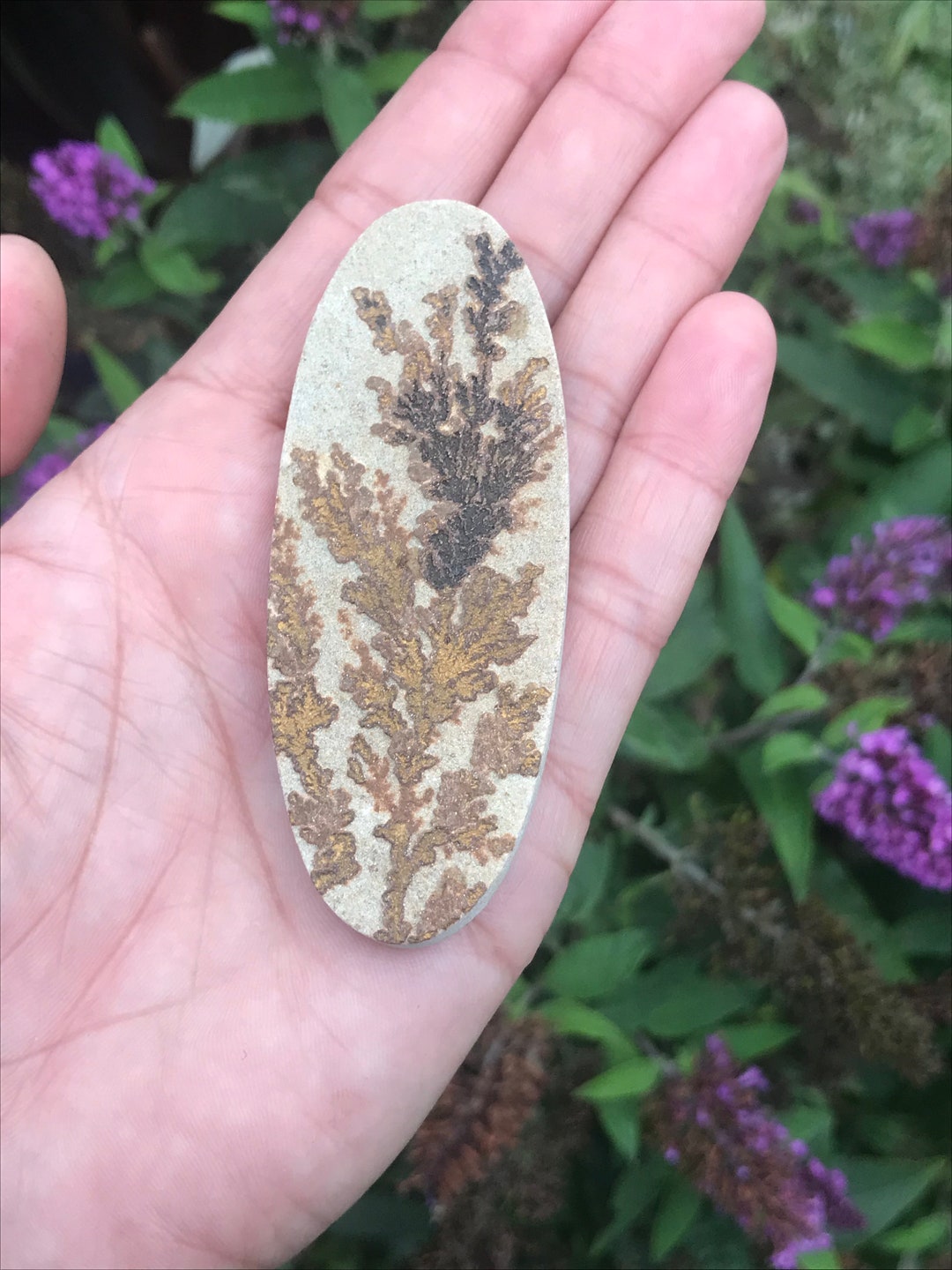 Large Dendritic Sandstone Cabochon, 32x82mm, 26g / 130cts in Weight - Etsy