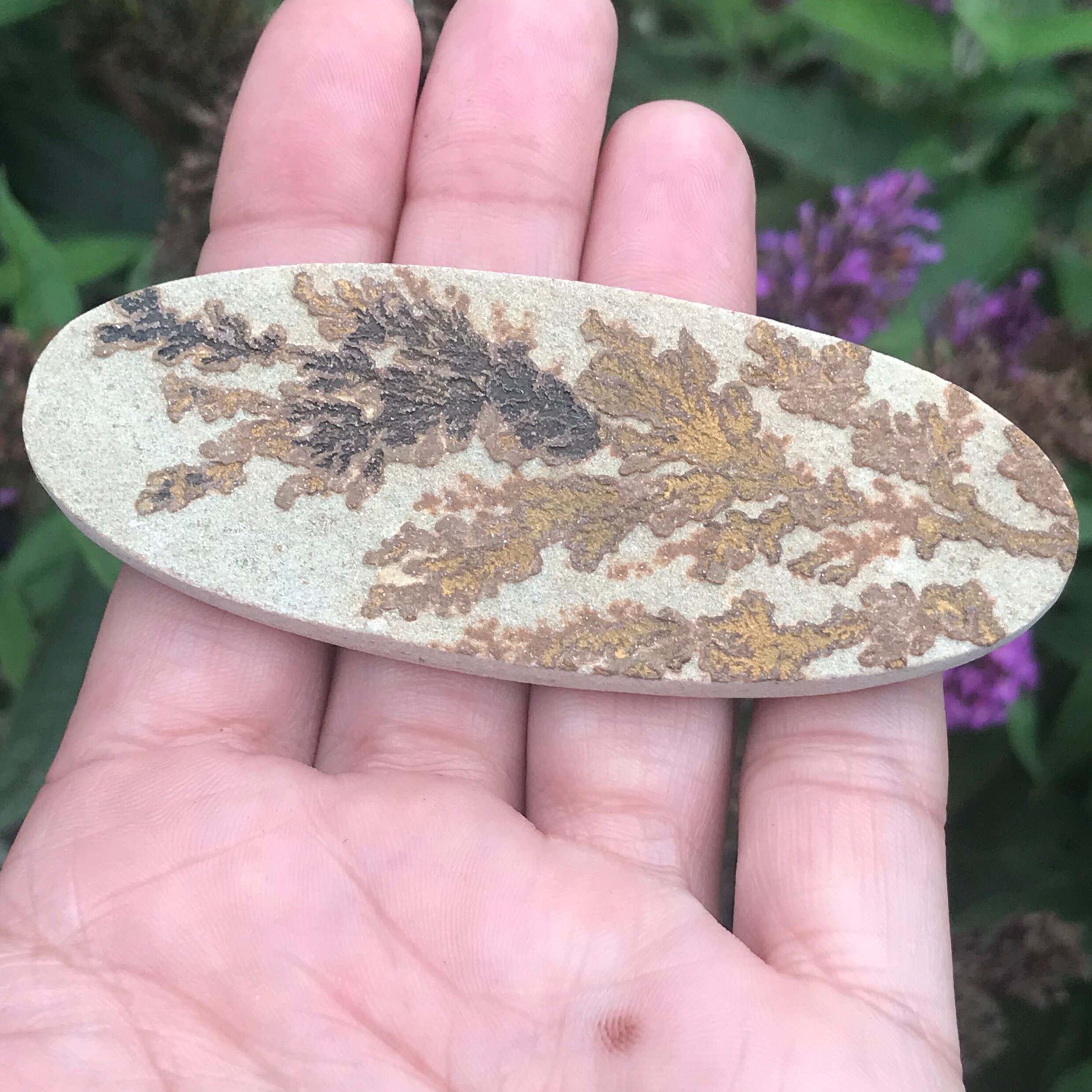 Large Dendritic Sandstone Cabochon, 32x82mm, 26g / 130cts in Weight - Etsy