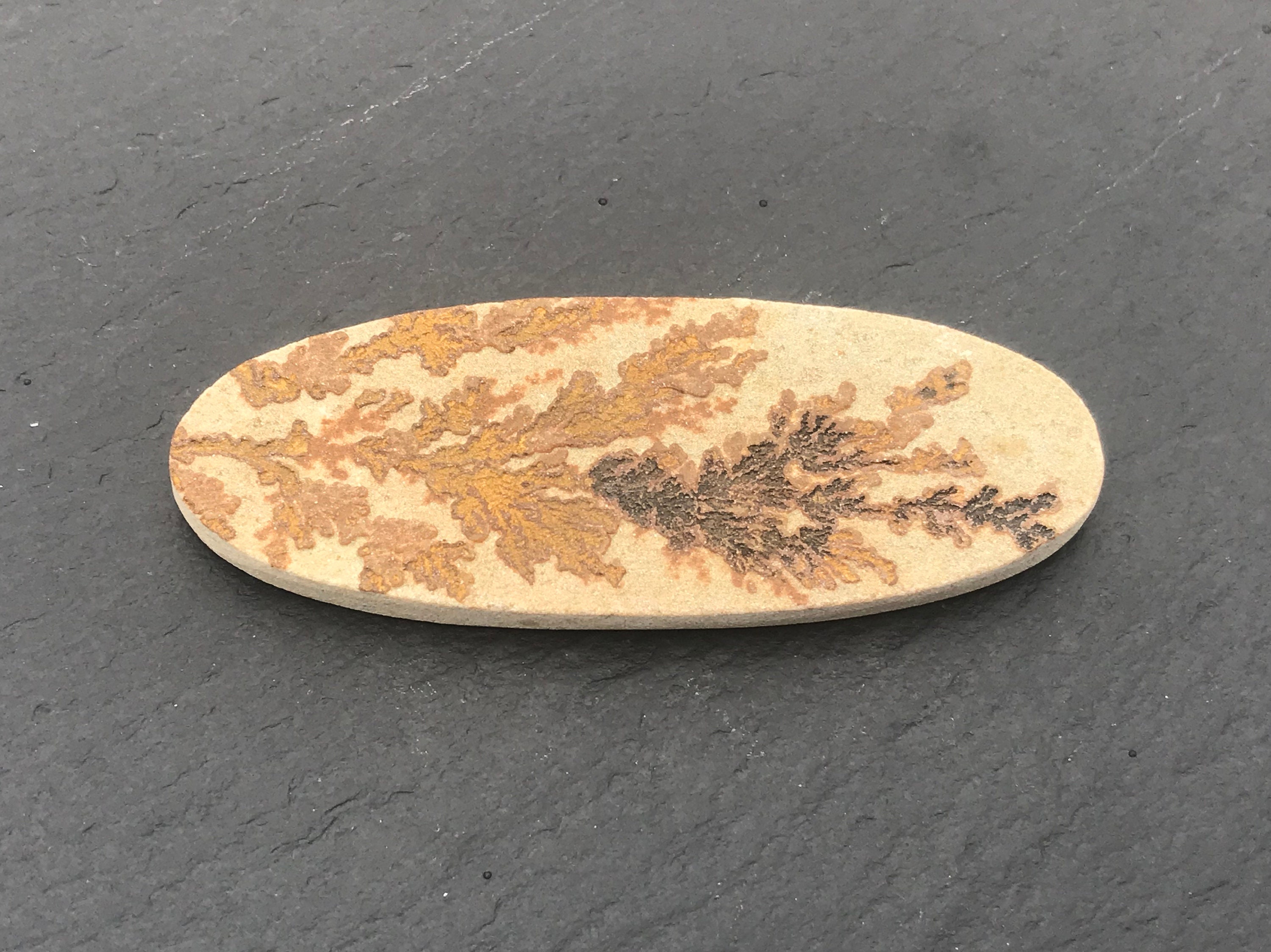 Large Dendritic Sandstone Cabochon, 32x82mm, 26g / 130cts in Weight - Etsy