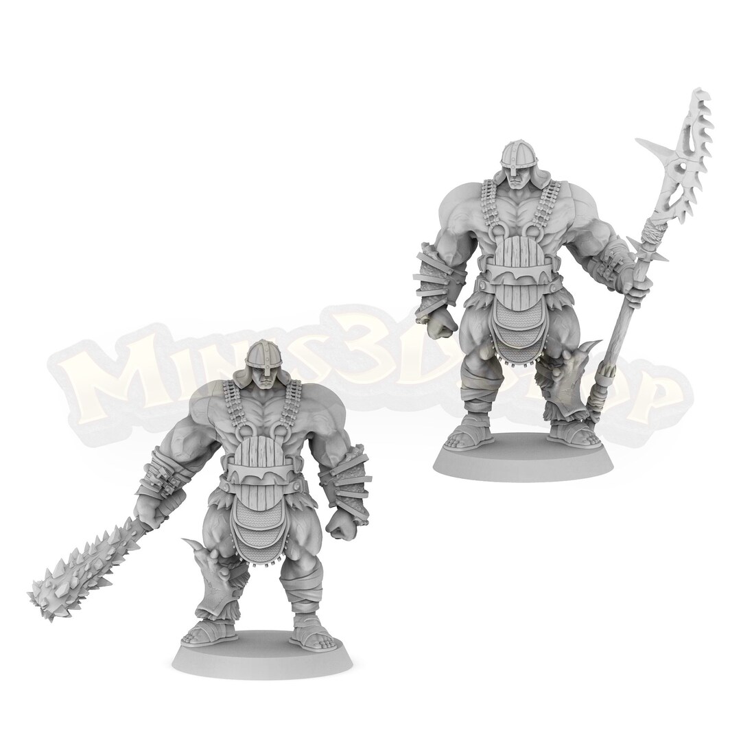 Giant Soldier - HQ Dungeon by Minis3d - Etsy