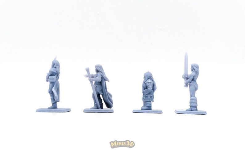 Heroes Female HQ Dungeon by Minis3d - Etsy