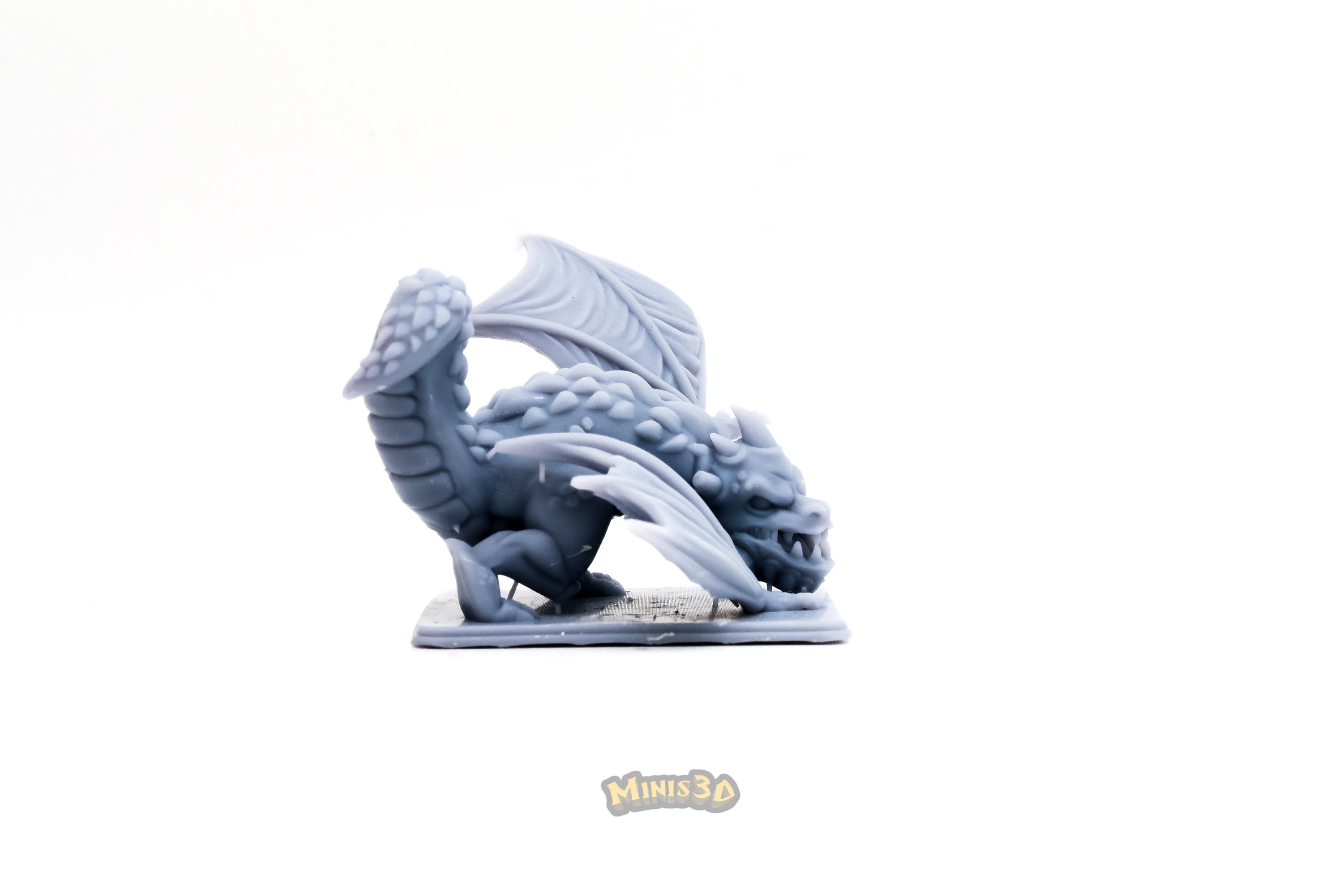 Role Playing Miniatures Minis3D Cave Dragon Fire Dragon Custom ...