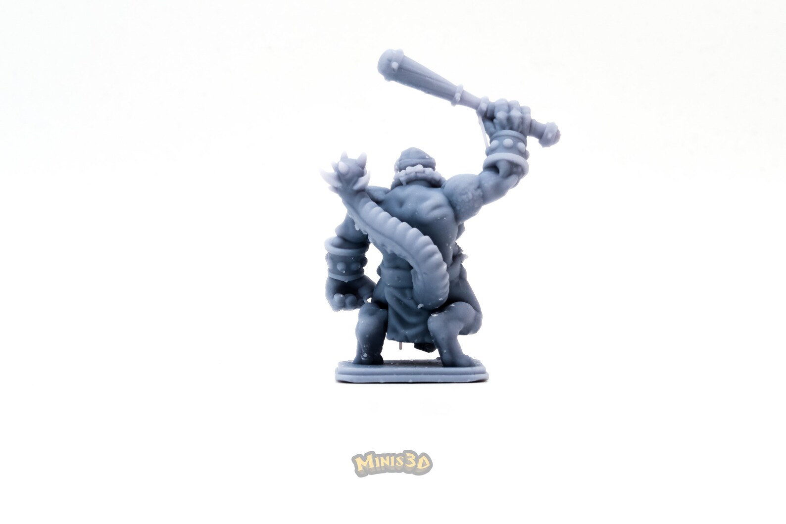 Fimir Warrior 2 HQ Dungeon by Minis3d - Etsy