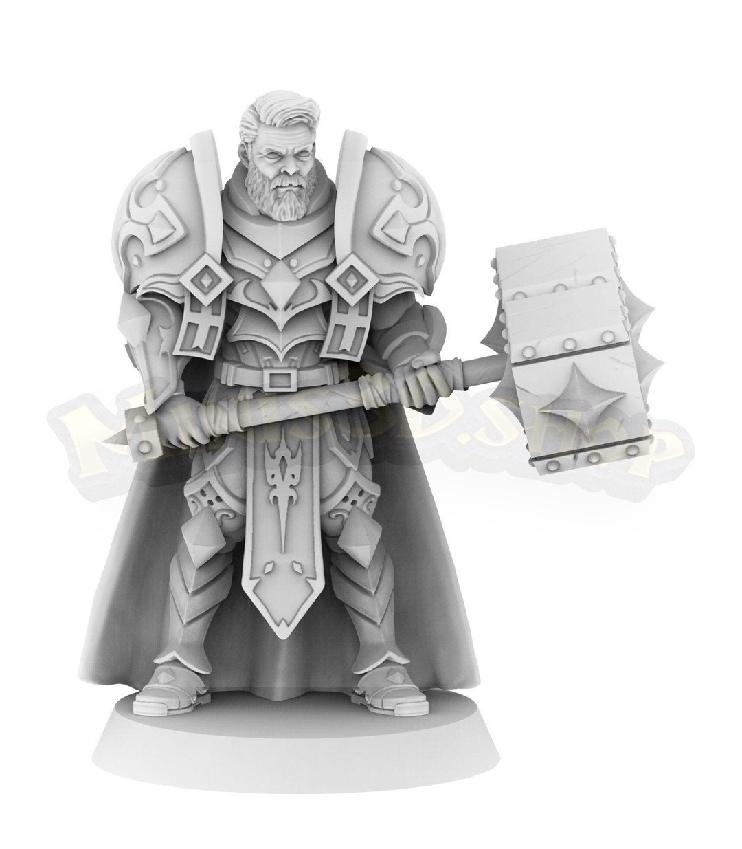 Sir Warric Human Paladin RN089 - Etsy
