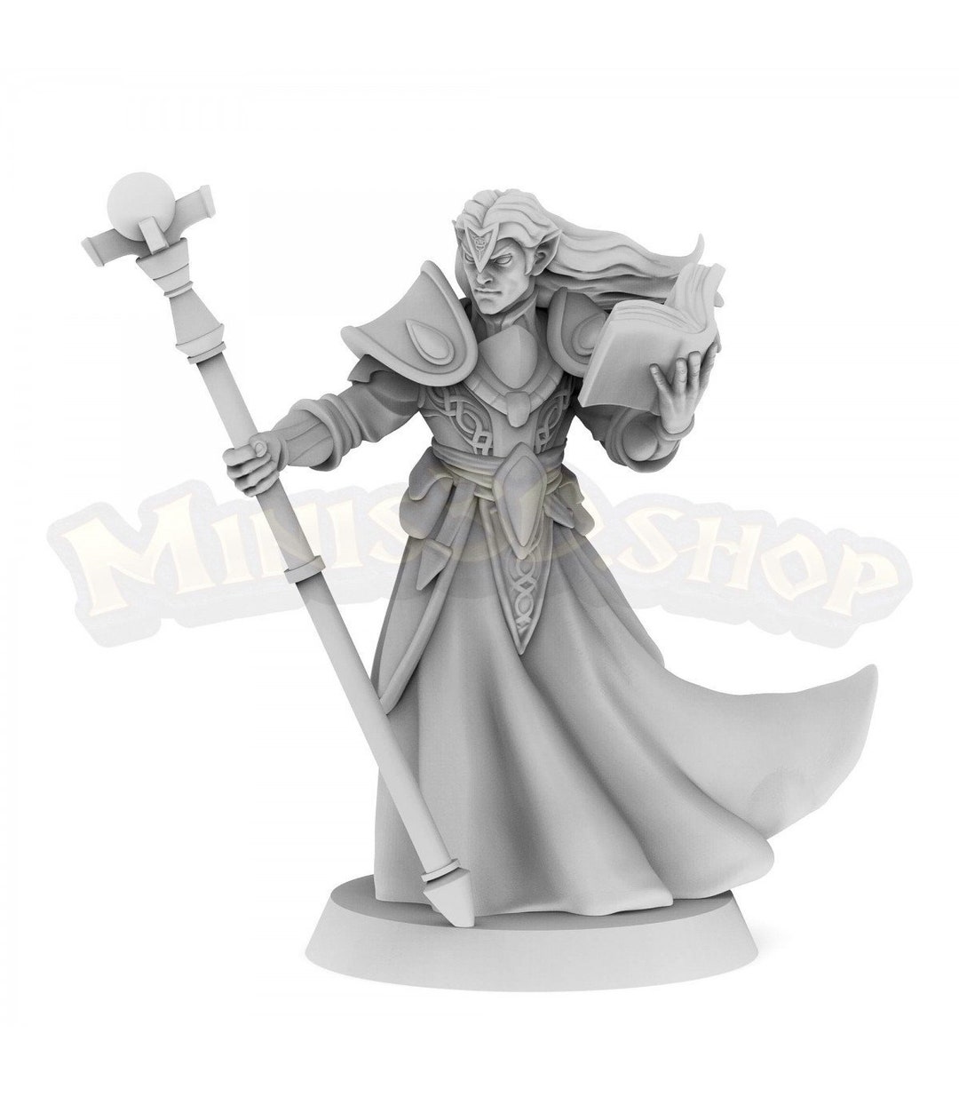 Elion the Wise, Elven Mage VA324 - Etsy