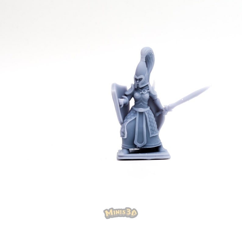 High Elf Female HQ Dungeon by Minis3d - Etsy