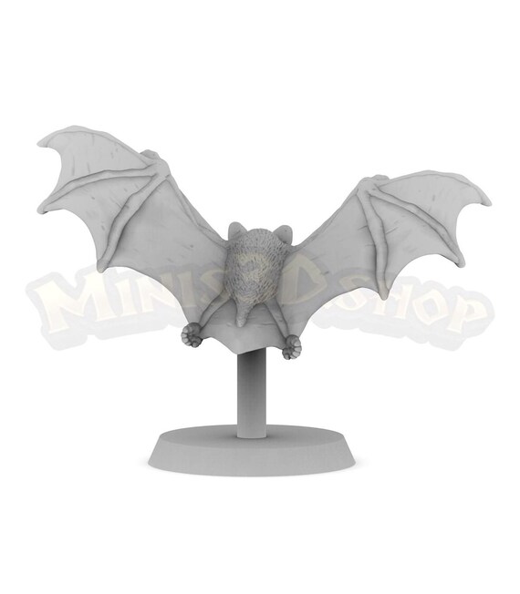 Chauve Souris Vampire Volante Wolkenstürmer Chauve Souris