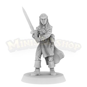 Elf Remake HQ Dungeon by Minis3d - Etsy