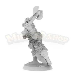 Fimir Shaman, Warrior - HQ Dungeon by Minis3d & Enfenix - Etsy