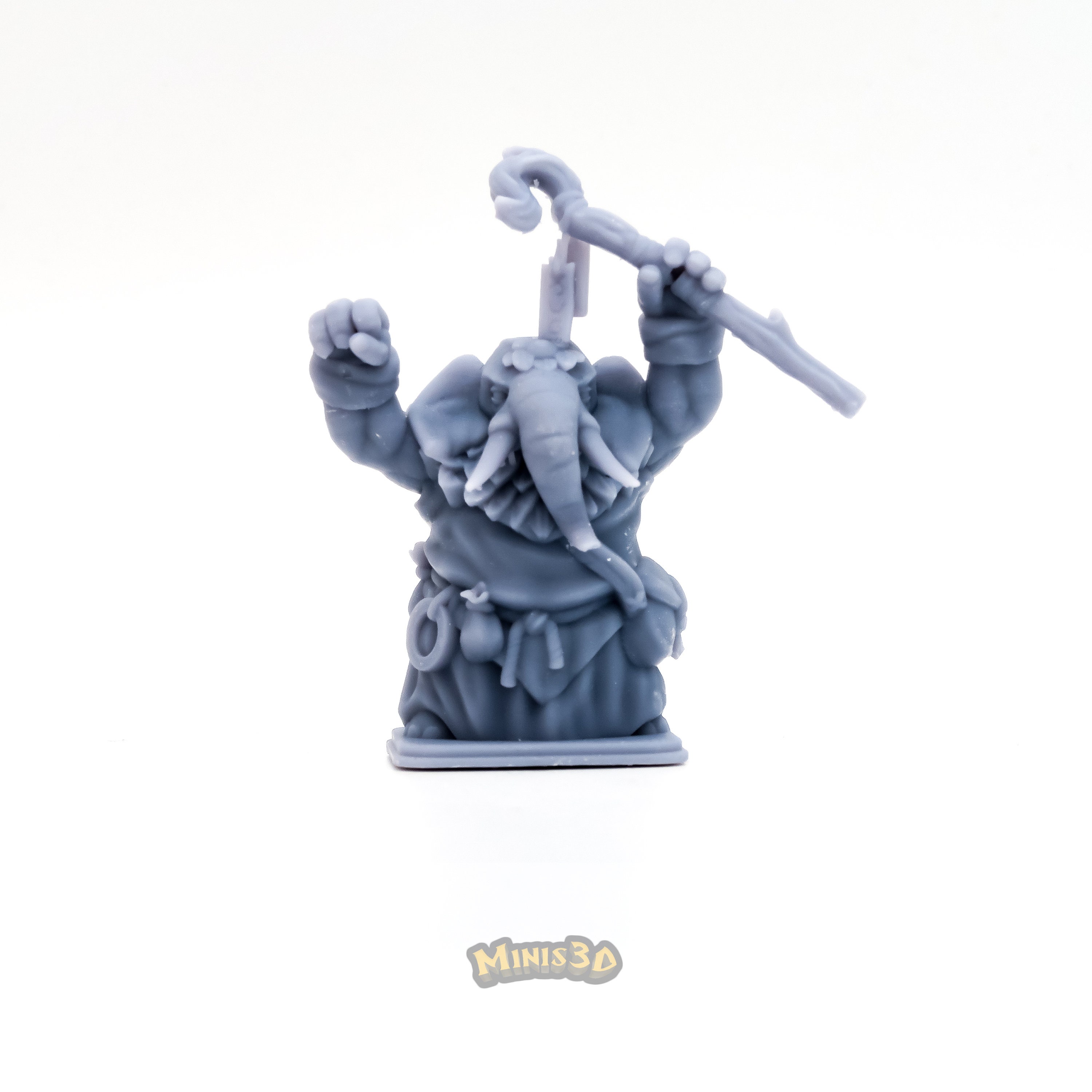 Loxodon Druid Warrior Wizard HQ Dungeon Minis3d | Etsy