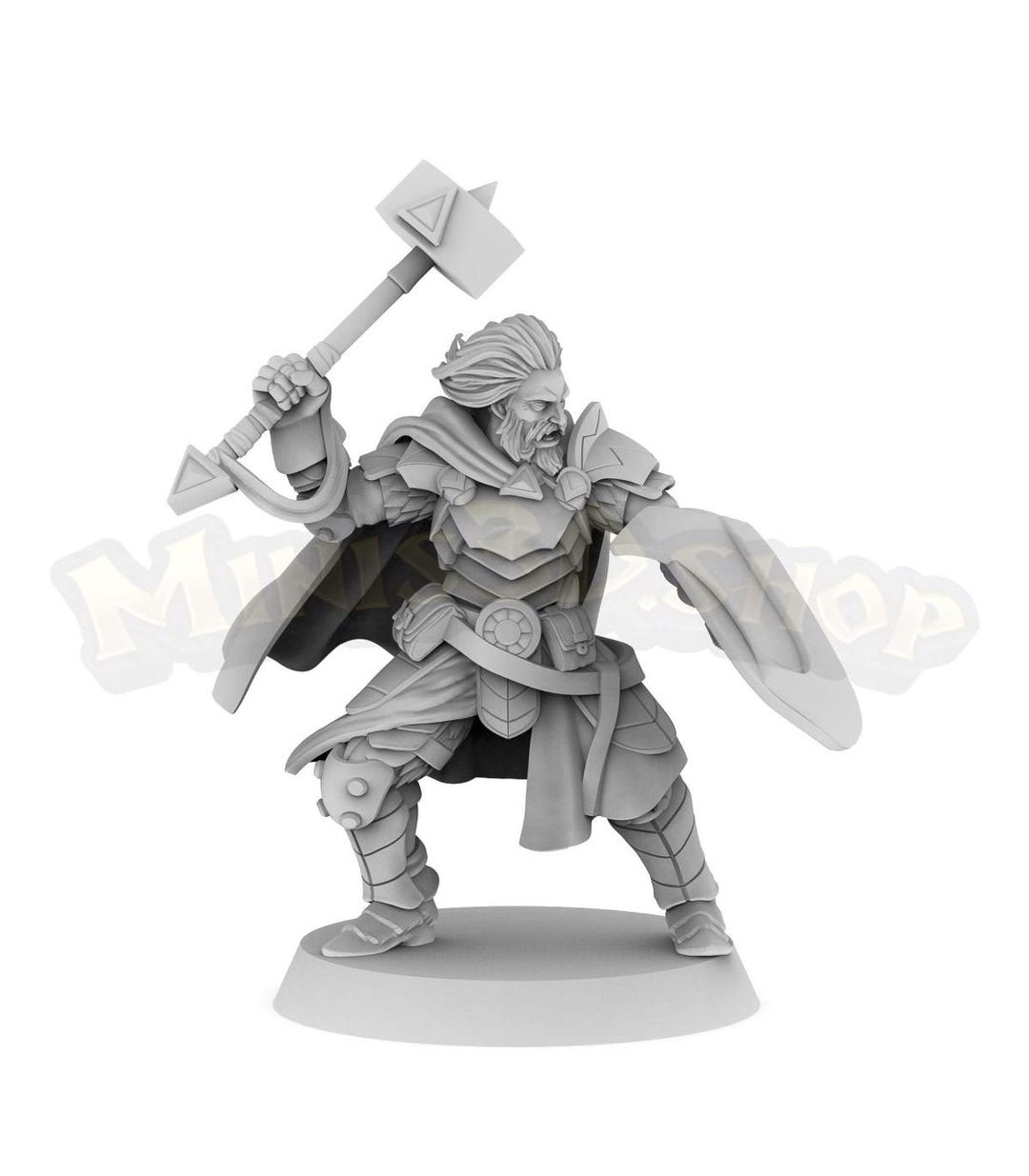 Sir Edric the Valiant Human Paladin CF541 - Etsy