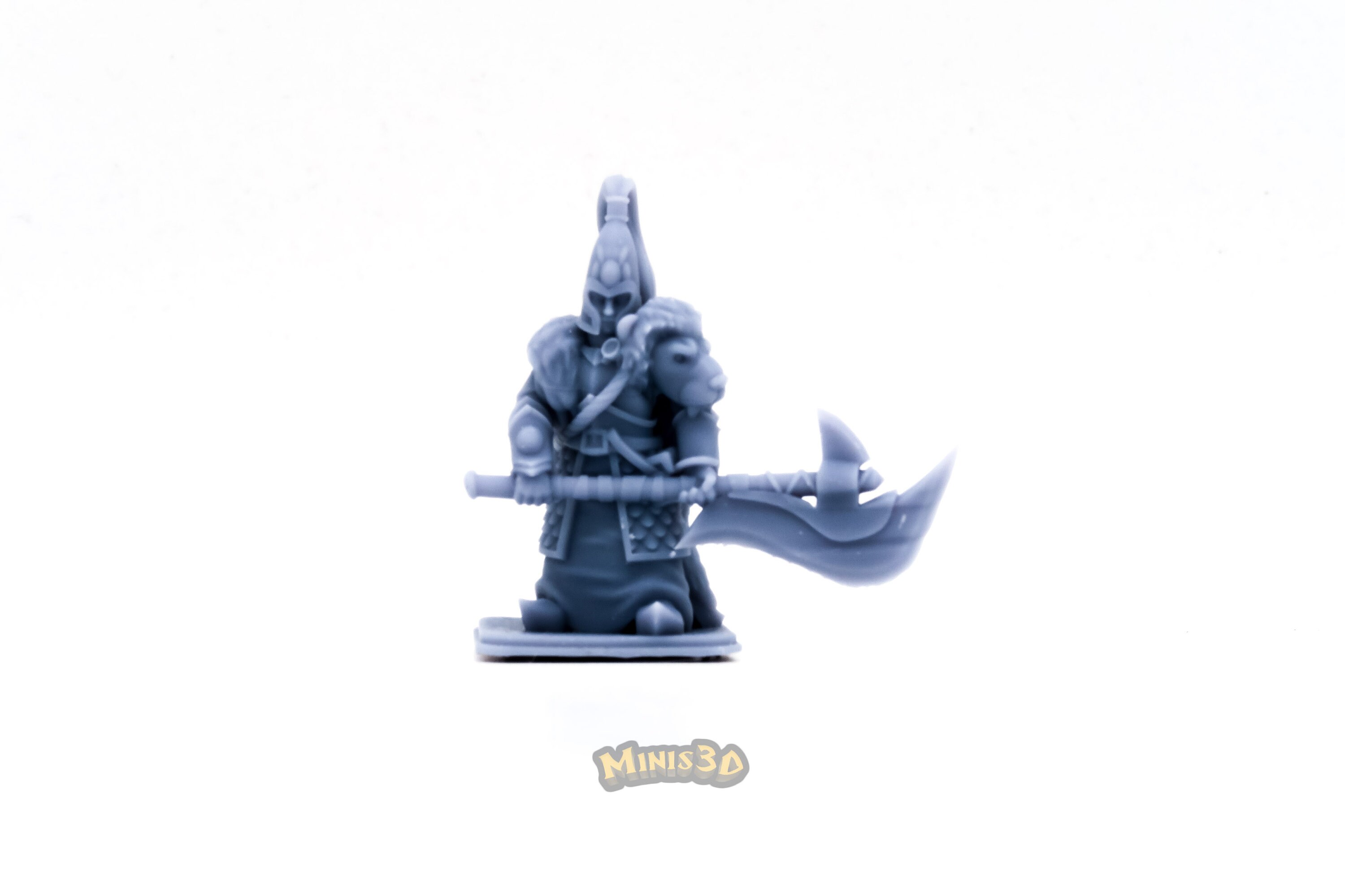 Elf Axe Warrior HQ Dungeon by Minis3d - Etsy