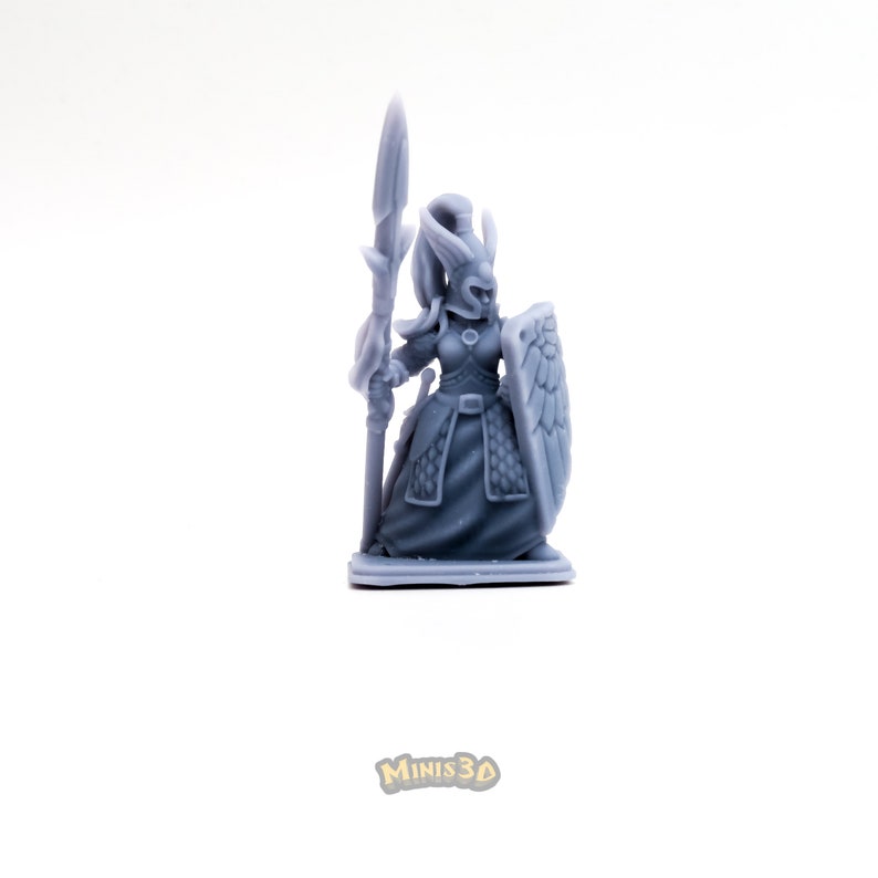 High Elf Female HQ Dungeon by Minis3d - Etsy