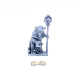 Fimir Shaman Warrior HQ Dungeon by Minis3d & Enfenix - Etsy