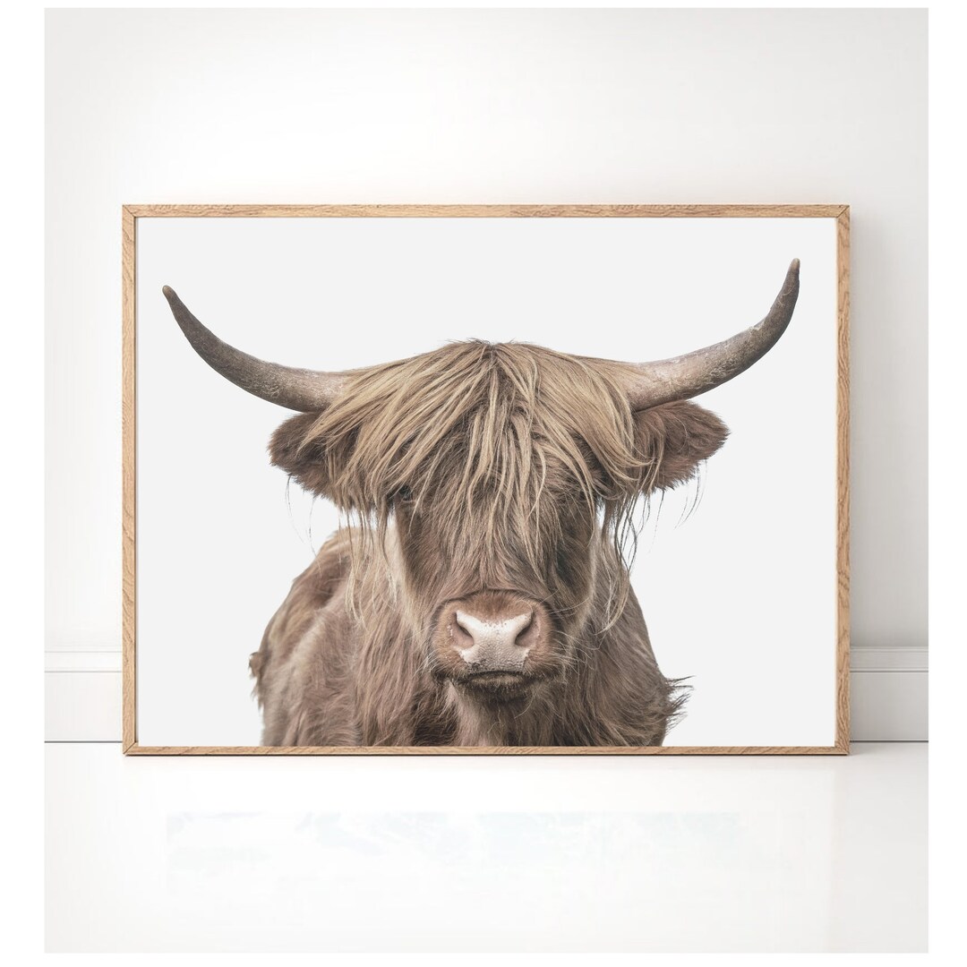 Highland Cow , Highland Cow Print, Girl Nursery Prints, Highland Cow ...