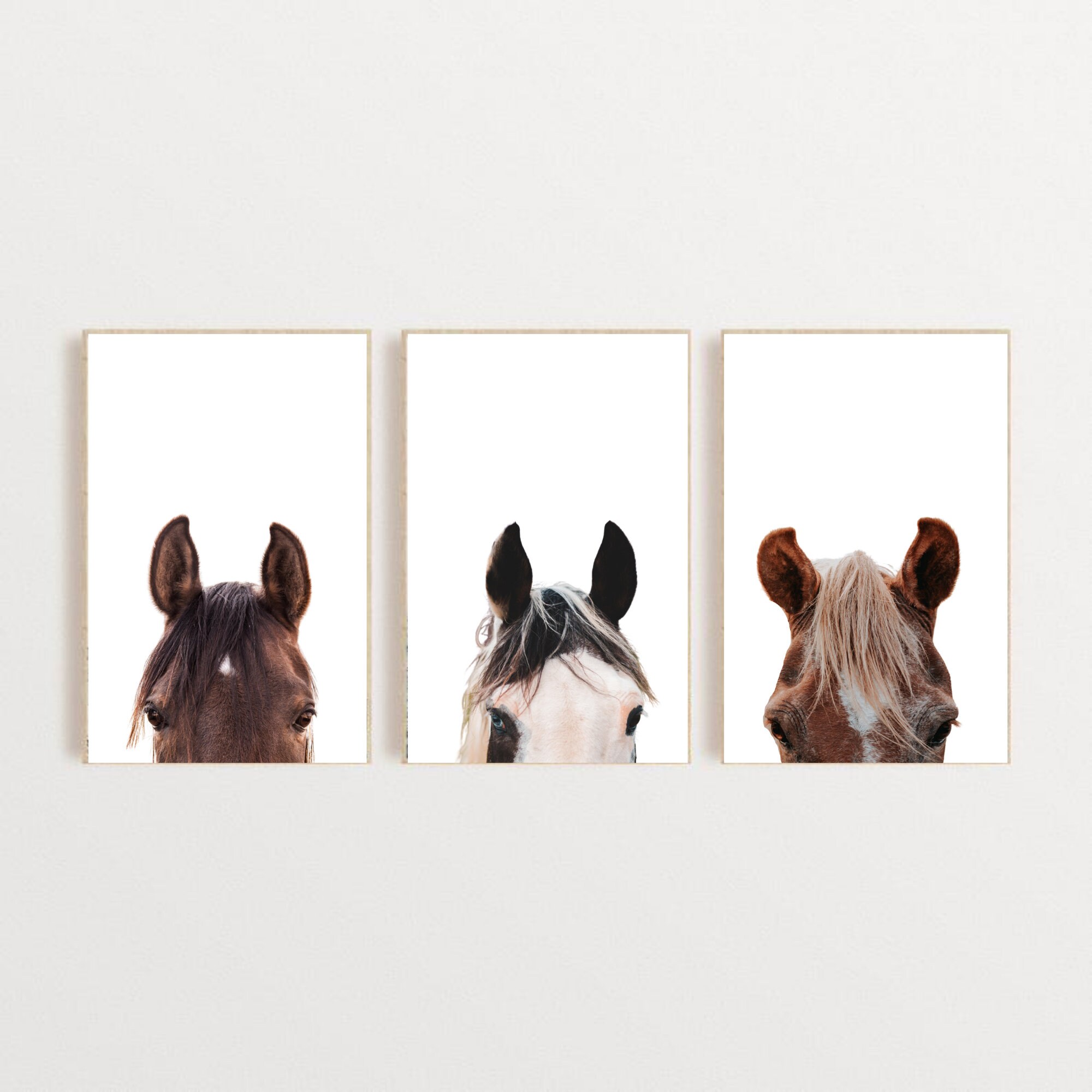 Set of 3 Horses Prints, Horses Portraits Wall Art Set, Farm Animal ...