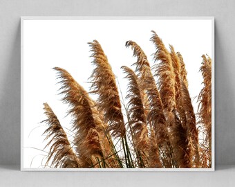 Dried Reeds Print - Etsy